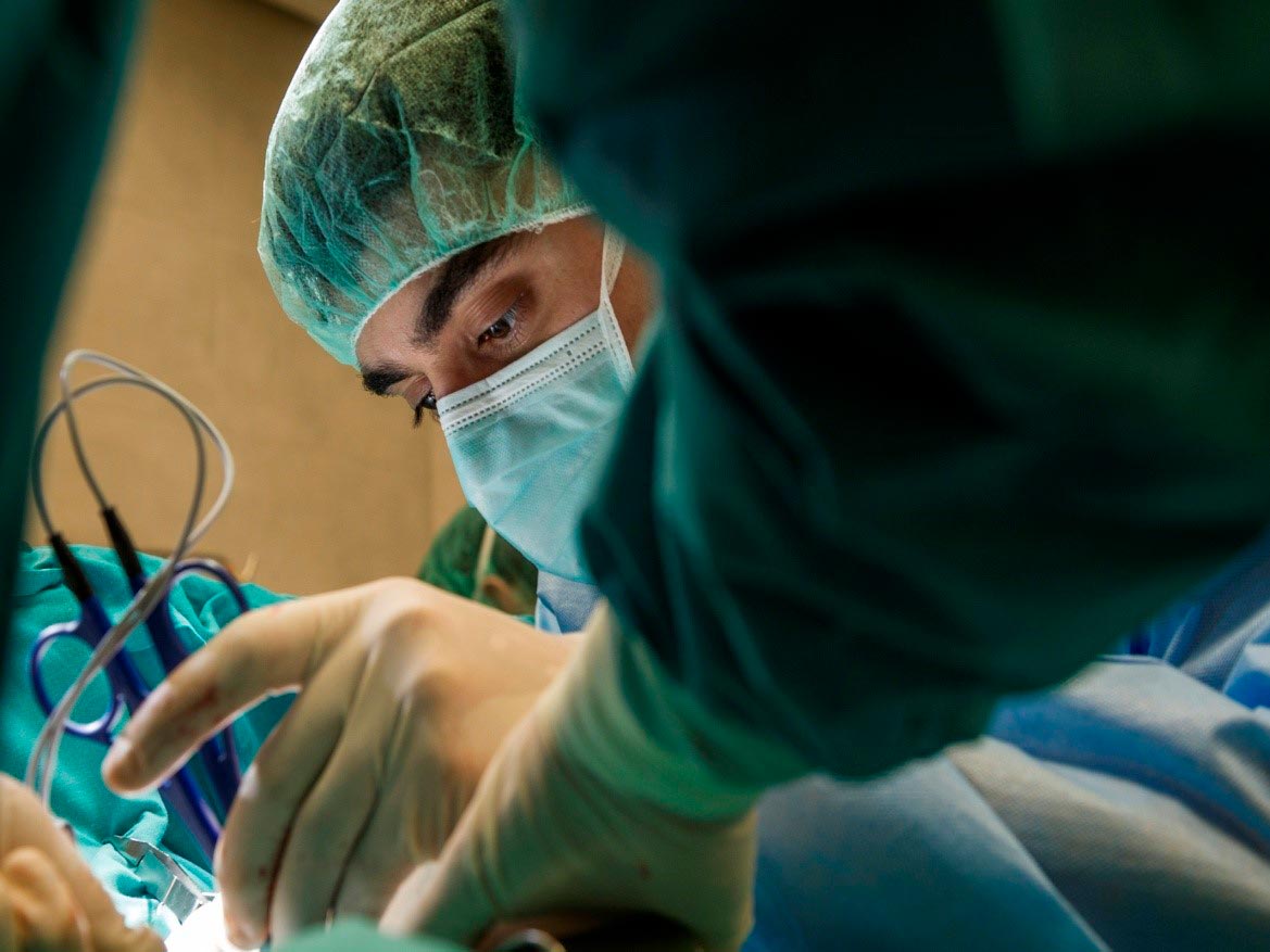 Cirugía general | Guaita Veterinaris